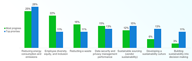 IT Sustainability Progress, Priorities, and Success Factors